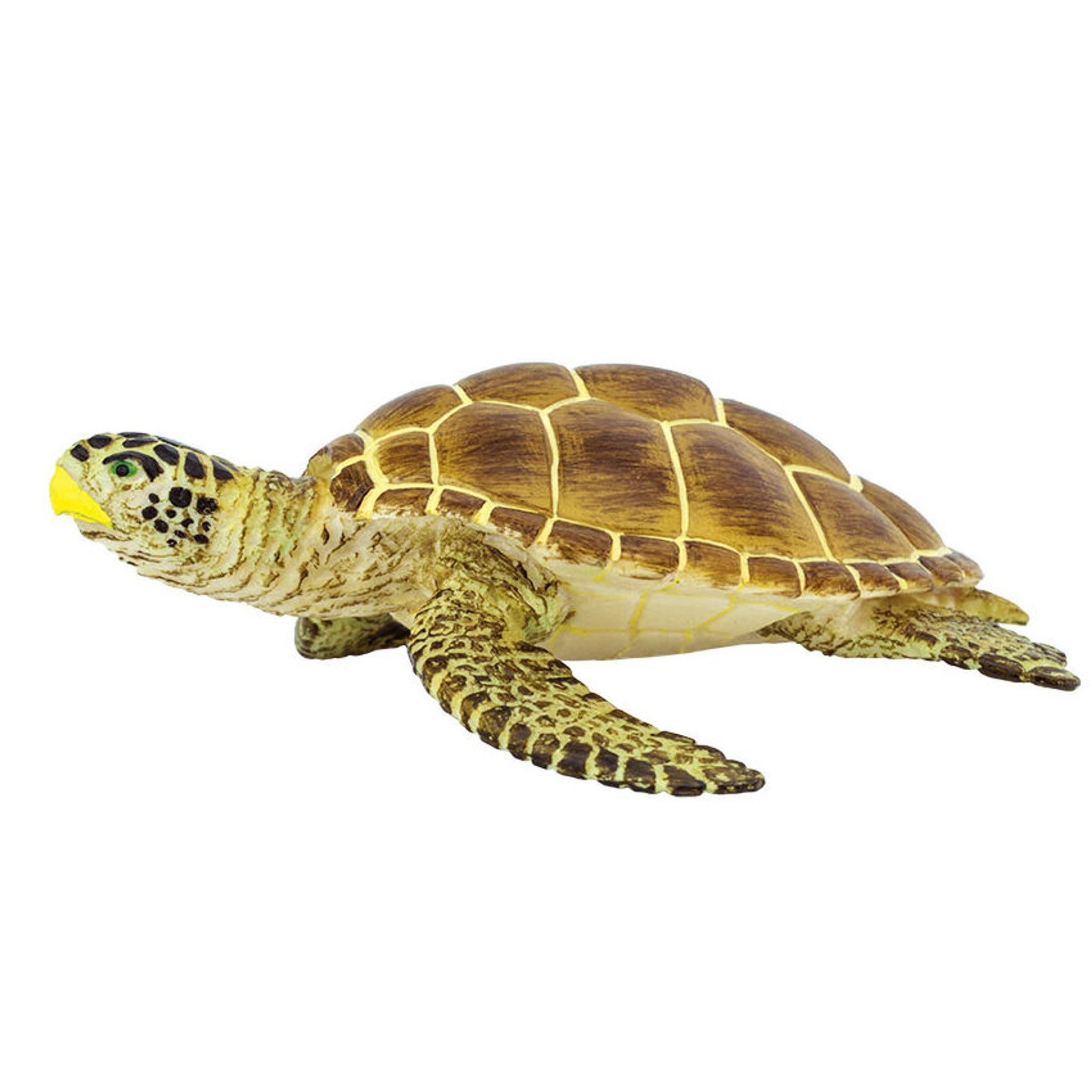 Safari Ltd Australia | Loggerhead Turtle | Ocean Animal Play Figurines ...